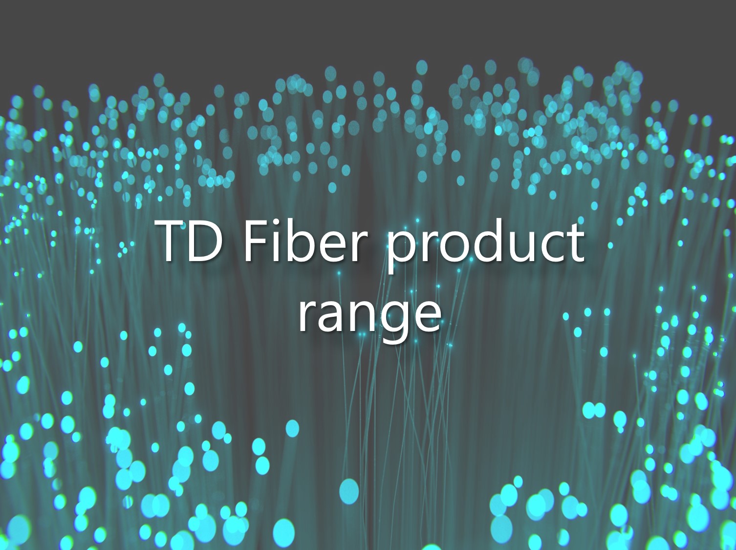 Fiber Gateway & ONT - Teamly Digital